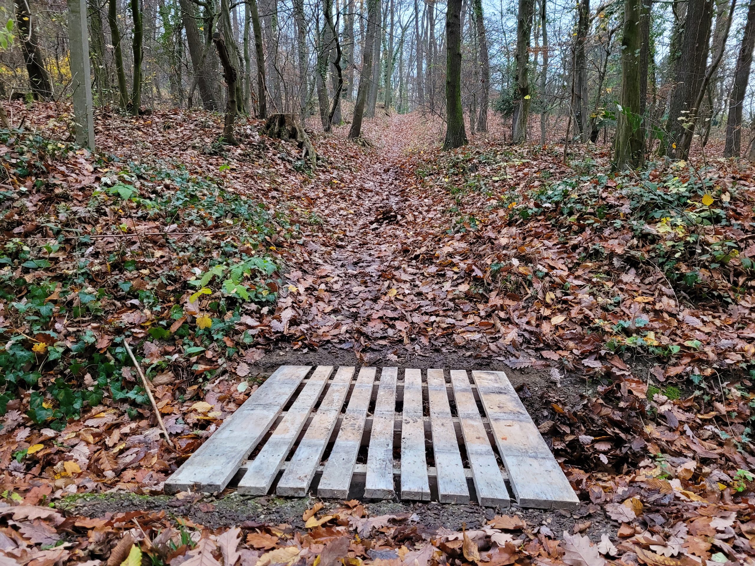 Kényelmesebb lett a Sopron Start elérése a Kőfejtő úti parkolóból ...